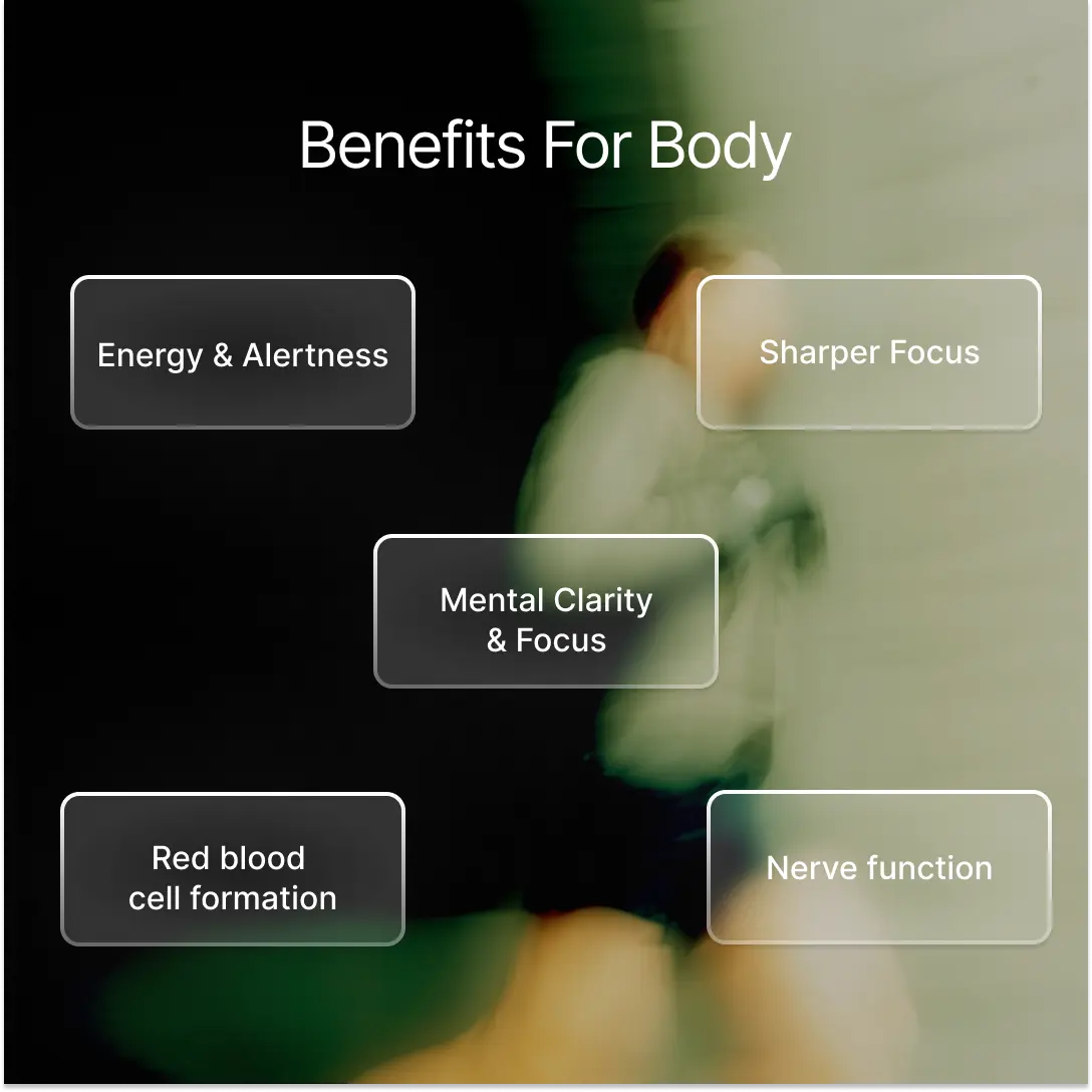 "Xnergy" | Nootropic for Focus, Memory and Energy | Supplements from ...